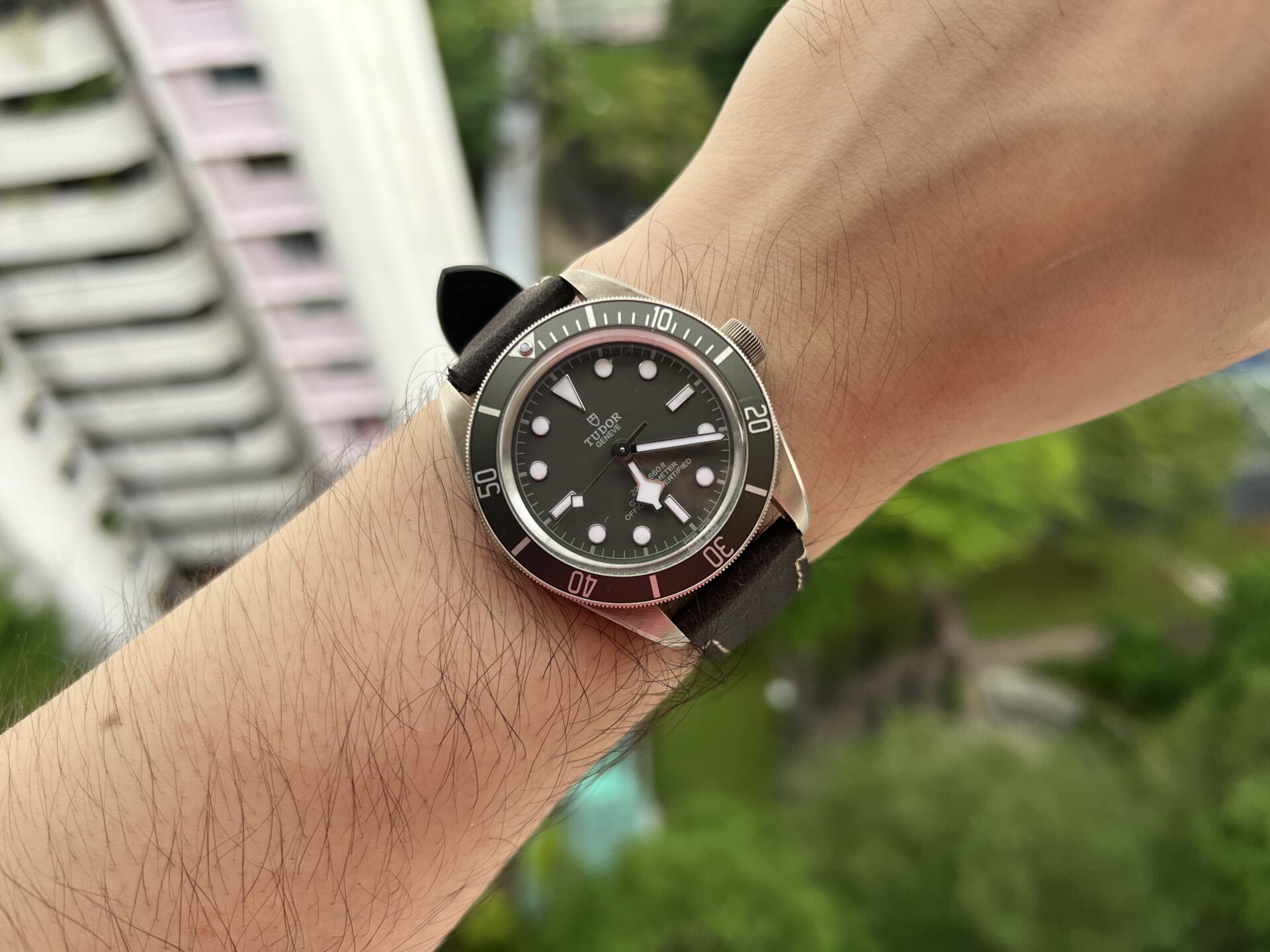 Spotlight: Tudor Black Bay 58 Silver - Wah So Shiok