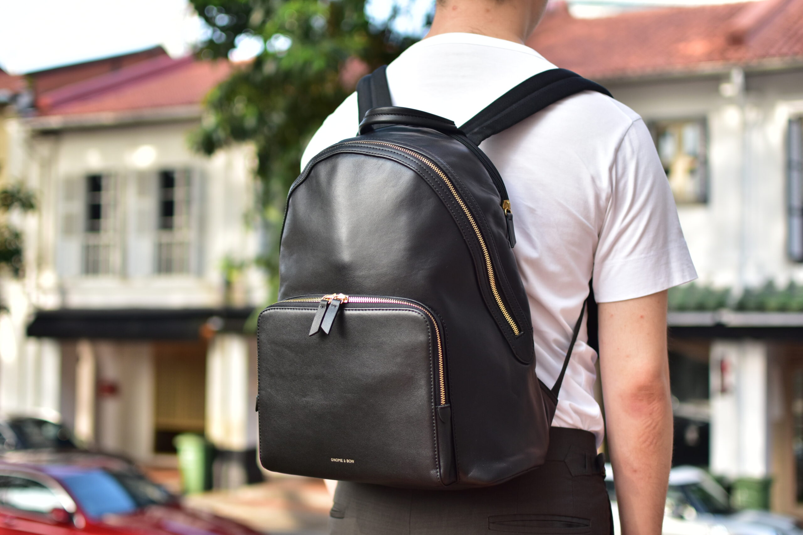 Gnome and Bow Musketeer Athos Laptop Bag and Book Luggage Tag Review ...