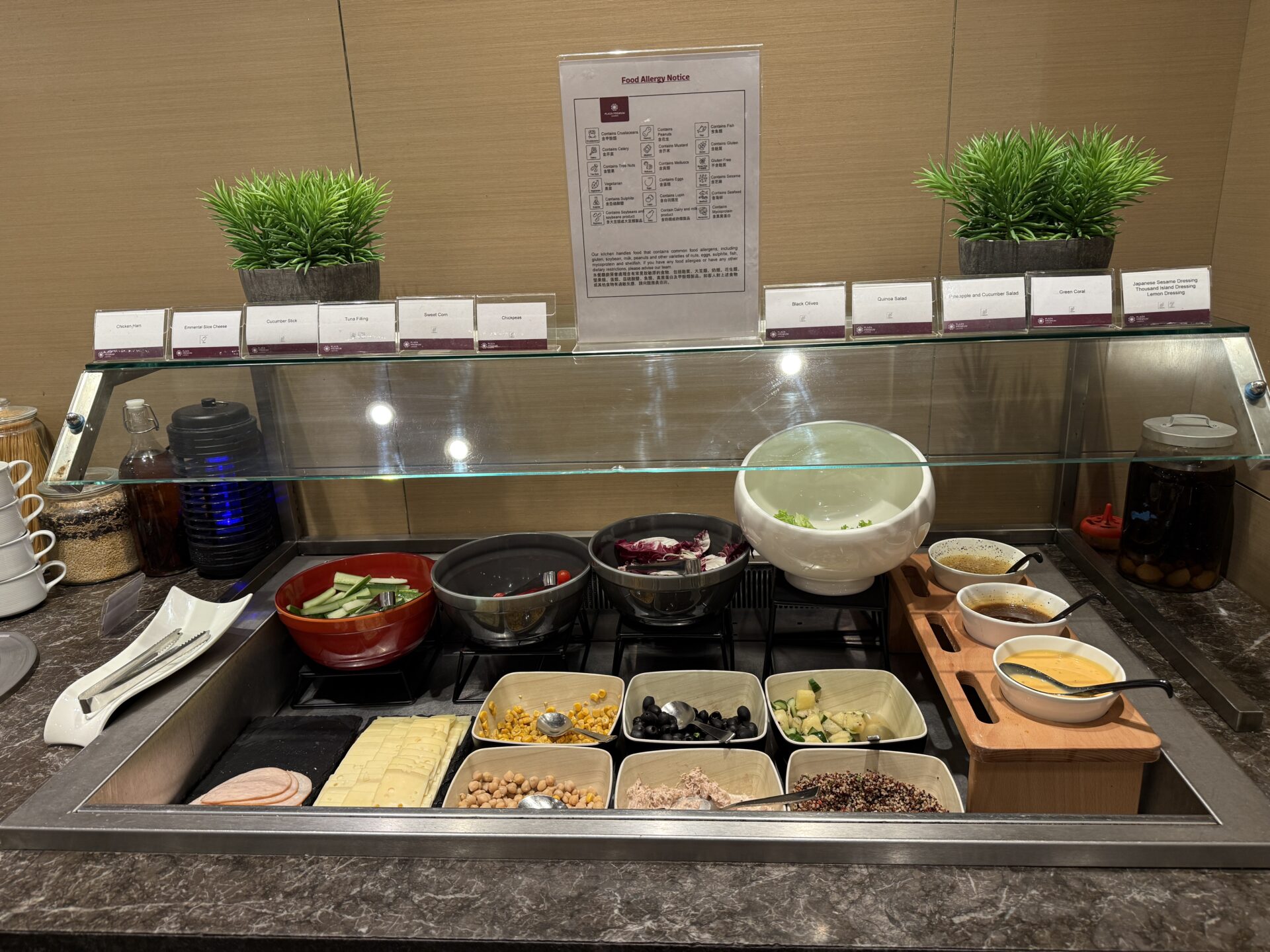 Plaza Premium Lounge (Changi Terminal 1) Review - Wah So Shiok